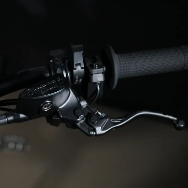 Buy Ventus One Plus EBike | 2025 Ventus One + | Shipping Worldwide