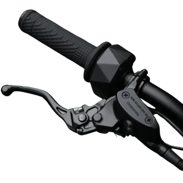 Buy Ventus One Plus EBike | 2025 Ventus One + | Shipping Worldwide